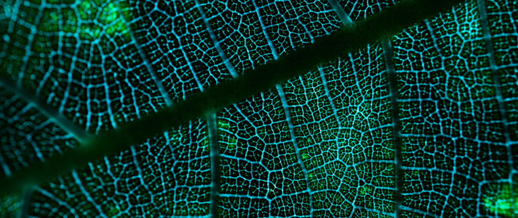 Intelligent Sourcing | ComSIT